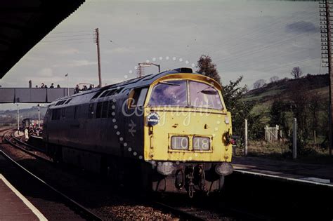 The Transport Treasury Class 52 Western Ght5608 Uk Br Class 52