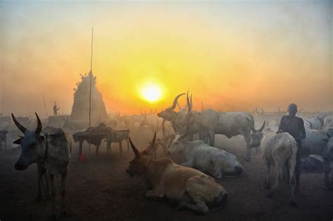 Sudán Del Sur Viaje Fotográfico 13 Días Expertos En África
