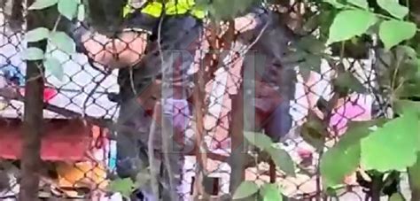 Scandal monstru în cartierul Alexandru Baba de la parter așa cum îi