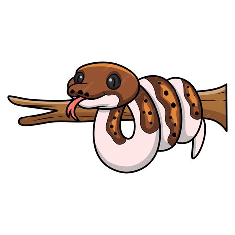 Premium Vector Cute Pied Reticulated Python Cartoon On Tree Branch