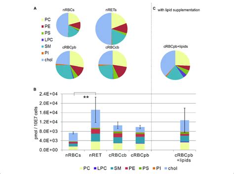Lipid Content Measured By High Resolution Mass Spectrometry In NRBCs