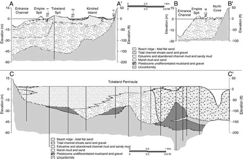 Stratigraphic Cross Sections A A′ Across Kindred Island Tokeland Download Scientific Diagram