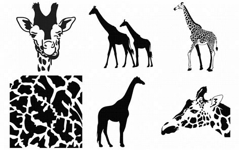 Printable Giraffe Pattern Stencil