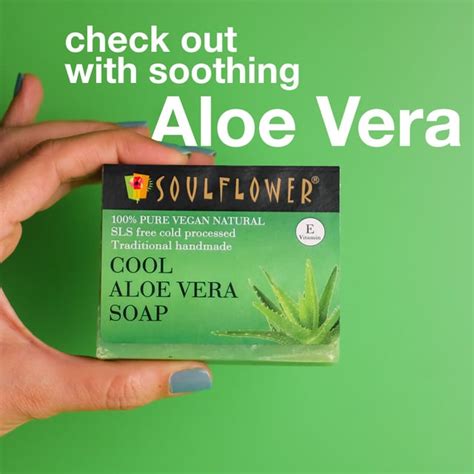 Aloe Vera Anti Inflammatory And Rejuvenating Usoulflowergirl