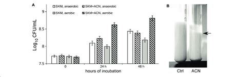 The Growth Of L Plantarum St Iii In Liquid Reconstituted Skim Milk