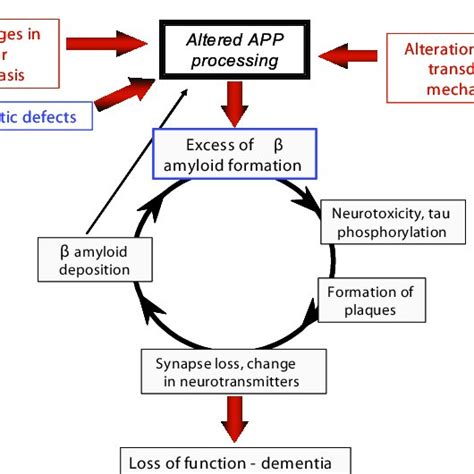 App Processing Regulation Download Scientific Diagram