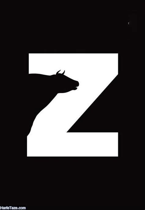 عکس پروفایل حرف Z عکس حرف انگلیسی Z برای پروفایل با طرح های زیبا