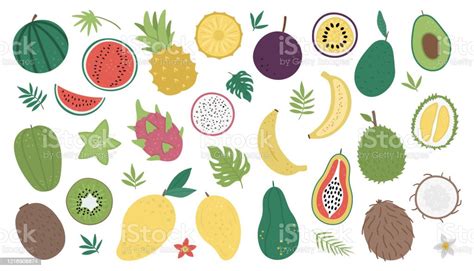 조각과 반쪽 클립 아트와 벡터 열대 과일과 열매 정글 단풍 그림입니다 흰색 배경에 고립 된 손으로 그린 평면 이국적인 식물 밝은
