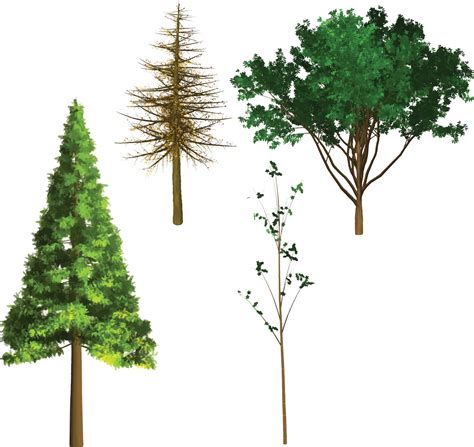 Free Vector Trees Set Download 3476406 Vector Art At Vecteezy