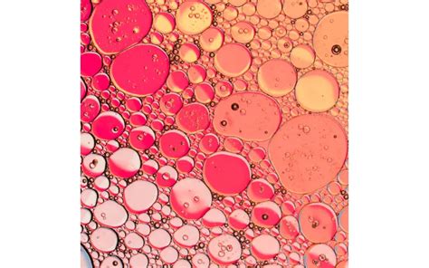 How To Isolate Mesenchymal Stem Cells From Bone Marrow Old Seattle