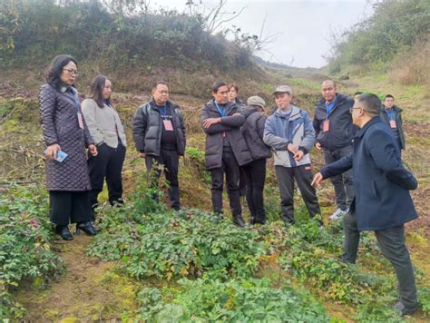 甘棠镇组织人大代表外出考察学习中药材种植产业 工作信息 开江县人民政府
