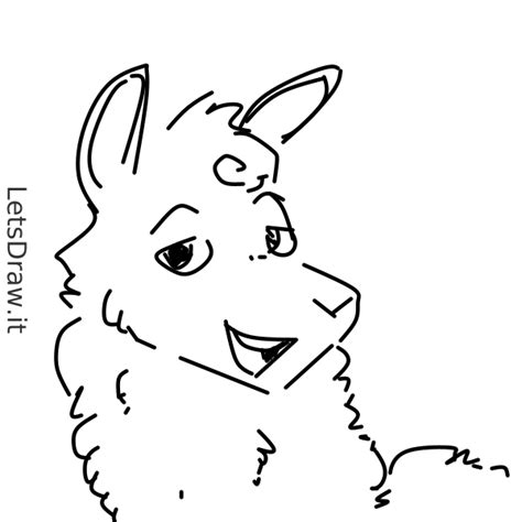 How To Draw Lama LetsDrawIt