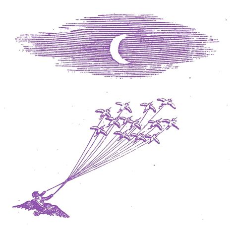 Feeling Figures Migration Magic Lyrics And Tracklist Genius