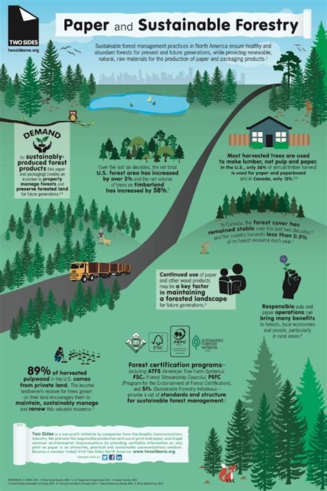 Two Sides Myth Busting Infographic Sustainable Forestry Forestry Sustainability