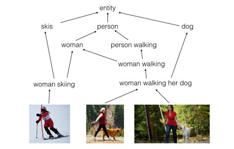 A Slice Of The Visual Semantic Hierarchy The Toy Example Taken From