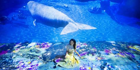 澳門好去處Naked Ocean海洋主題沉浸式光影展過萬呎奇妙世界冰雪海洋鏡房沙甸魚光影七彩水母 即睇早鳥優惠
