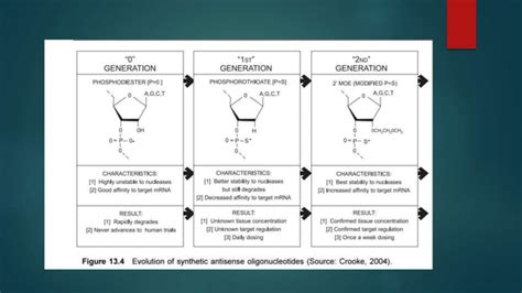 Antisense Rna Ppt