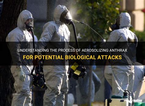 Understanding The Process Of Aerosolizing Anthrax For Potential