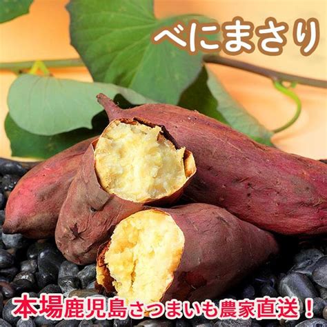 訳あり鹿児島さつまいも★プチサイズパック★5kg Benimasari 5k 鹿児島さつま芋農家・桜山ファーム 通販