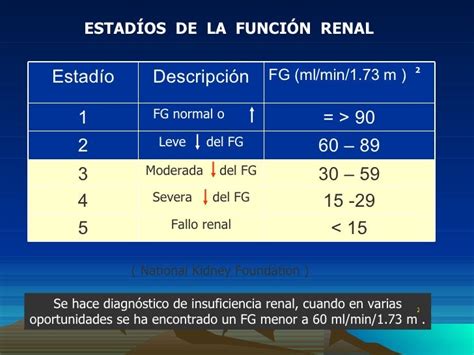 Valores Normales De La Tasa De Filtración Glomerular Tfg