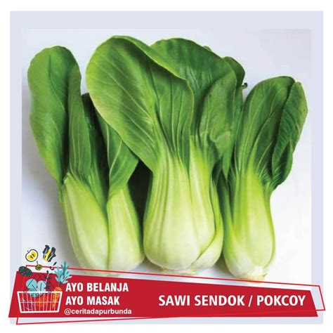 Jual Sawi Sendok Sawi Daging Pakcoy Per 250 Gram Shopee Indonesia