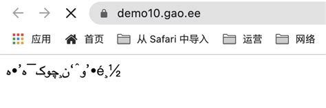 如何在nginx Proxy Manager（npm）上部署静态网站 爱玩实验室