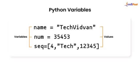 Python Variables Constant Local And Global Variables