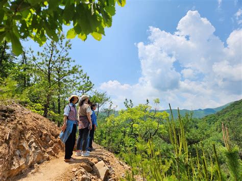 국립대운산치유의숲