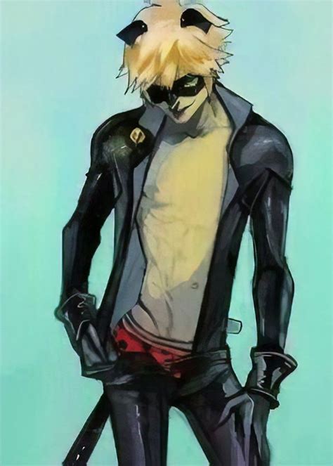 Pin Di Nick Su Miraculous Gatto Nero Anime Dei Ragazzi Disegni Di Anime