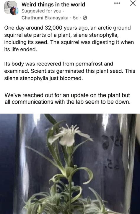 Uh Oh 9gag