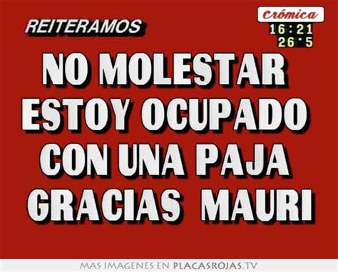 No Molestar Estoy Ocupado Con Una Paja Gracias Mauri Placas Rojas TV