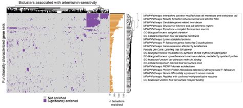 Heatmap Showing Clusters Of Functional Gene Sets Among The 710