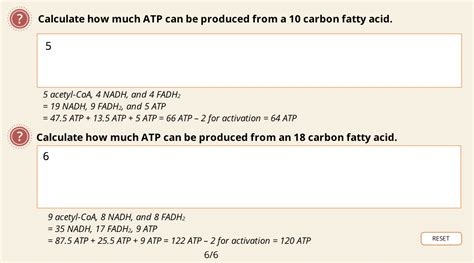 Solved Calculate How Much ATP Can Be Produced From A Chegg Com