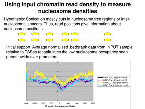 PPT ChIP Seq Methods Analysis PowerPoint Presentation Free Download ID 6530527