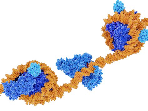 Epigenomics — Admera Health