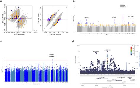 Sex Specific Genetic Architecture Of Blood Pressure Pmc Sex Specific Genetic Architecture Of Blood Pressure Pmc