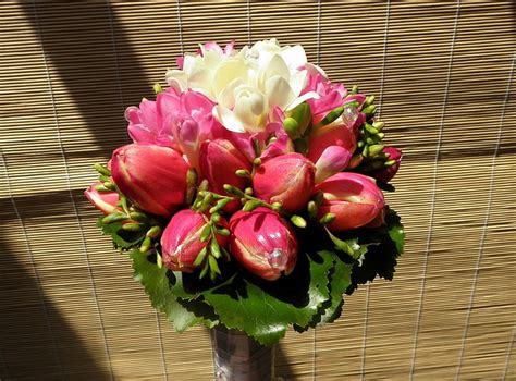 꽃 튤립 꽃 봉 오리 프리 지아 꽃 잎의 꽃다발 Hd 데스크탑 벽지 Wallpaperbetter