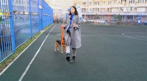 Как научить собаку команде рядом Смотреть онлайн в поиске Яндекса по Видео