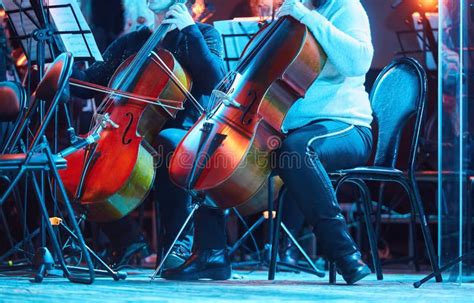 Stringed Musical Instrument Double Bass In The Orchestra Stock Image Image Of Chamber