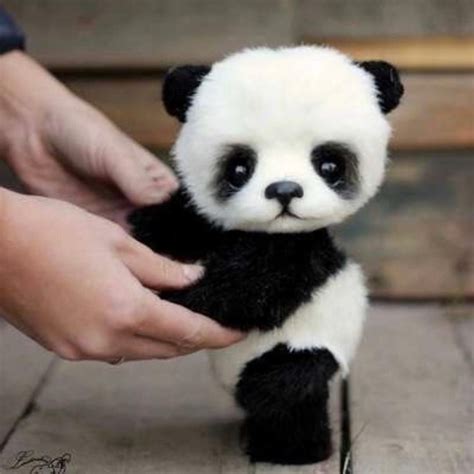 Cute Stuffed Panda Bear Only Fashion Instagram