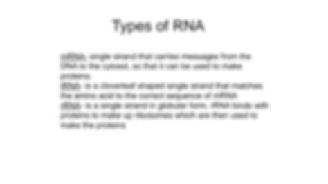 SOLUTION Lecture Rna Structure Studypool