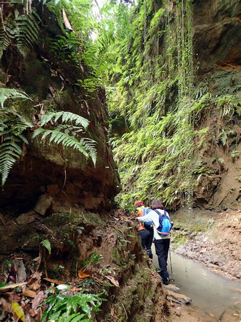 苗栗龍王峽谷 功維敍彩紅隧道 三灣落羽松 健行筆記