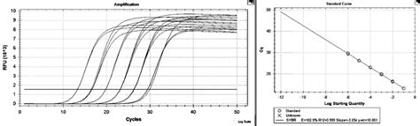 Fab Amplification Plot A And Standard Curve B From 10 Fold Serial Download Scientific