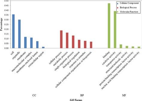 Go Term Enrichments Of United All Single Copy Genes Across 29