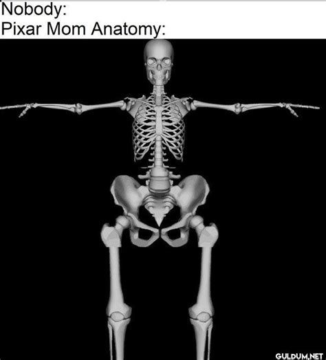 Nobody Pixar Mom Anatomy Caps Arama Motoru
