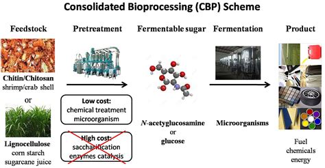 Genetic Engineering Process Flow Chart