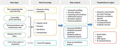 Workflow Of Microbiomeanalyst 20 Download Scientific Diagram