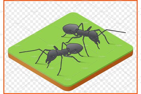 Ants Vector Picture Masterbundles