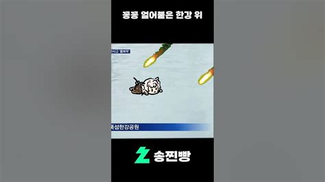 꽁꽁 얼어붙은 한강 위로 얼어붙은한강 한강 Youtube