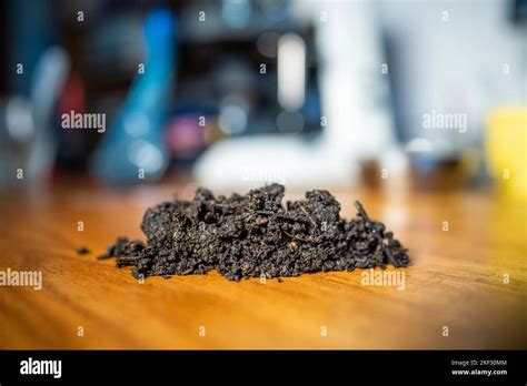 Working In A Soil Lab Iwth Soil Samples Testing A Soil Test In
